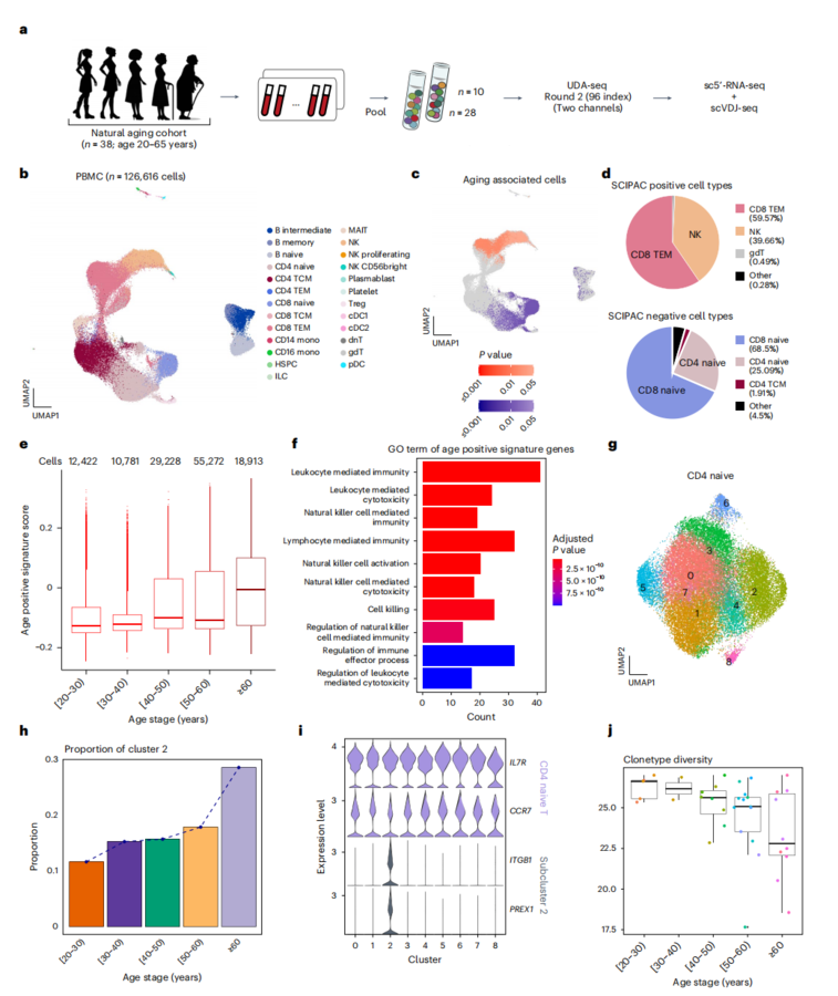 Nat Methods | 中科院蒋岚团队液滴微流控+组合索引：UDA-seq构建单细胞多组学测序新体系 - 微流控信息网