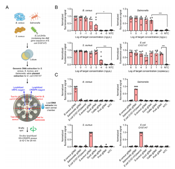 ADV SCI | 东南大学丁雄，CRISPR检测体系+ 3D打印微流控芯片：食源性细菌的多重现场检测 - 微流控信息网