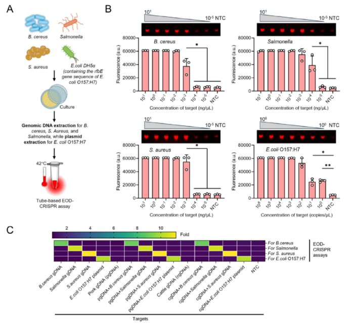 ADV SCI | 东南大学丁雄，CRISPR检测体系+ 3D打印微流控芯片：食源性细菌的多重现场检测 - 微流控信息网