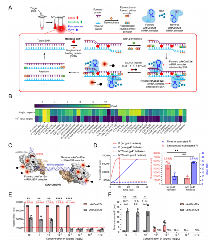 ADV SCI | 东南大学丁雄，CRISPR检测体系+ 3D打印微流控芯片：食源性细菌的多重现场检测 - 微流控信息网