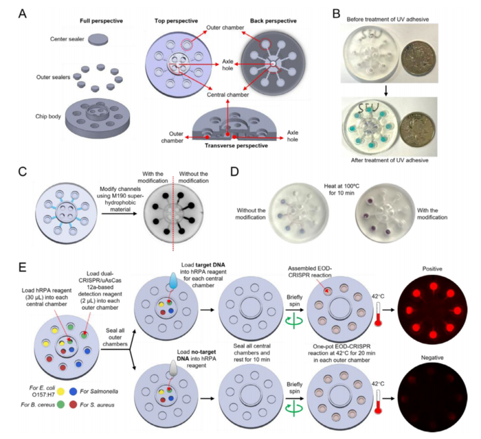 ADV SCI | 东南大学丁雄，CRISPR检测体系+ 3D打印微流控芯片：食源性细菌的多重现场检测 - 微流控信息网