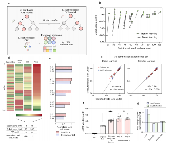 NAT COMMUN | DropAI ：低成本、高效率优化无细胞基因表达系统 - 微流控信息网