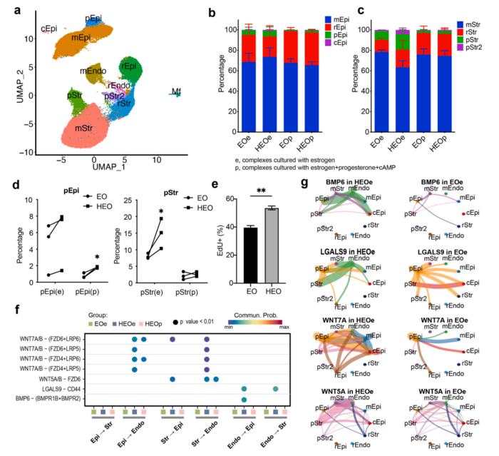 BIOACT MATER | 浙大张松英、冯晔、戴永东，基于微流控芯片的血管化子宫内膜模型：细胞间旁分泌机制研究 - 微流控信息网