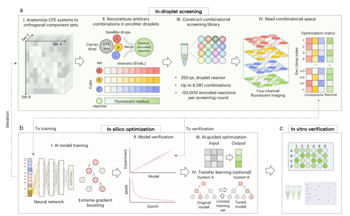 NAT COMMUN | DropAI ：低成本、高效率优化无细胞基因表达系统 - 微流控信息网
