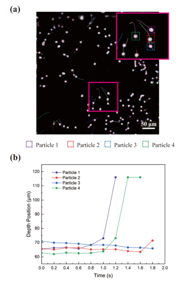 Lab Chip | 程鑫/Boris Stoeber，液滴微流控-光场显微镜集成系统：粒子与细胞的精准操控及三维成像和跟踪 - 微流控信息网