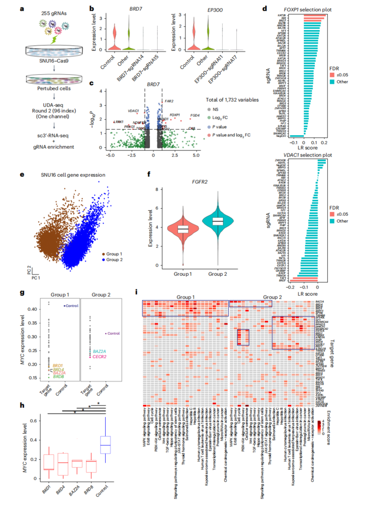 Nat Methods | 中科院蒋岚团队液滴微流控+组合索引：UDA-seq构建单细胞多组学测序新体系 - 微流控信息网