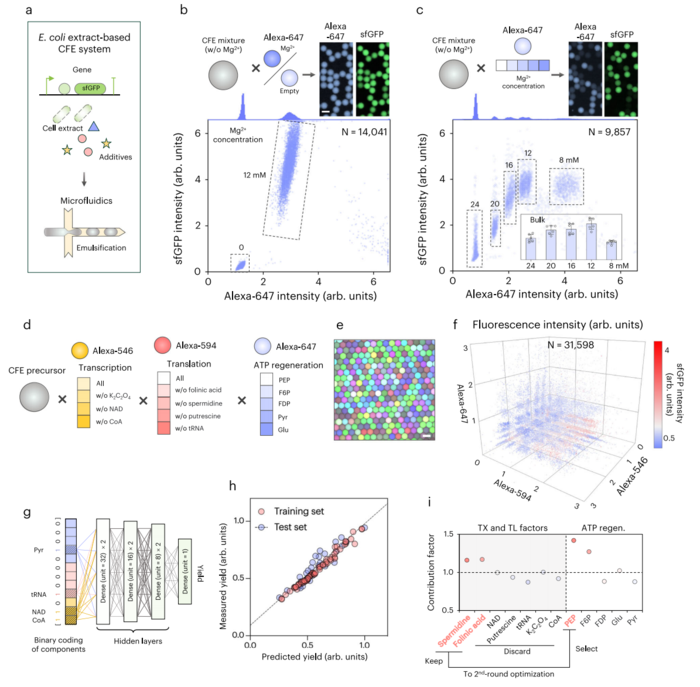 NAT COMMUN | DropAI ：低成本、高效率优化无细胞基因表达系统 - 微流控信息网